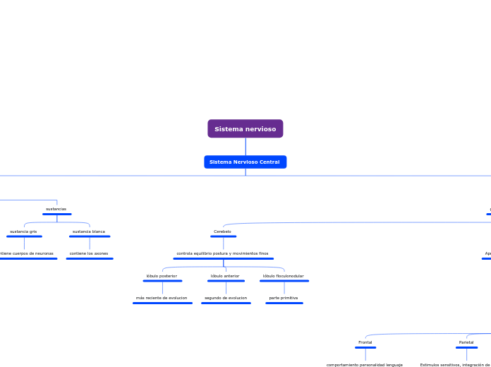 Sistema nervioso - Adimen Mapa
